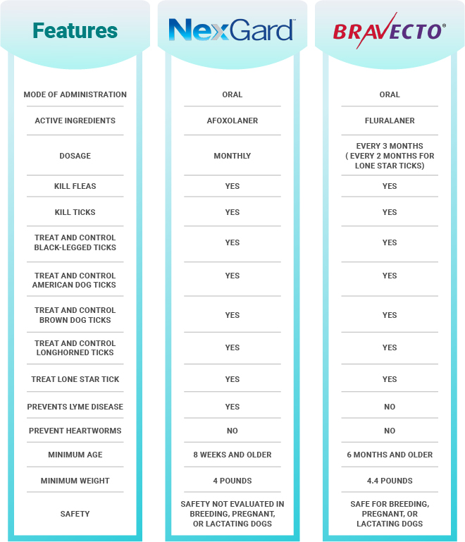 NexGard vs. Bravecto: Which Flea & Tick Protection Is Best for Your Dog?