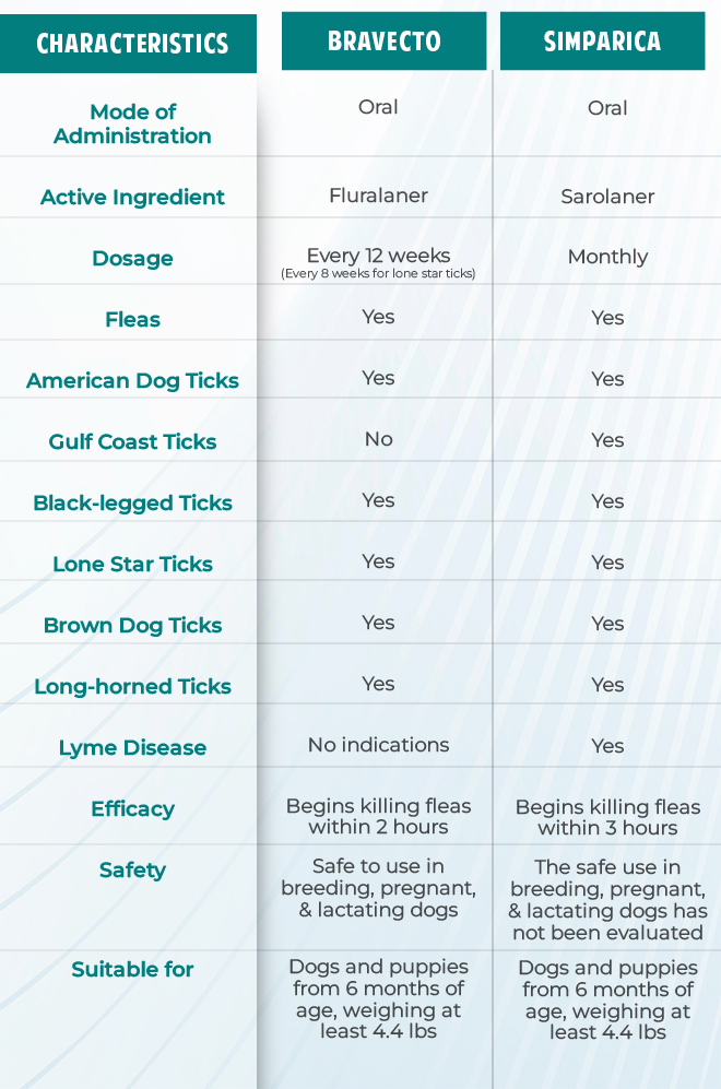 Bravecto vs Simparica: Which Flea and Tick Treatment is Best for Dogs?